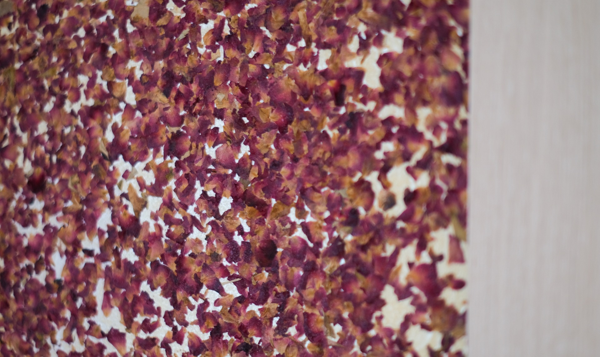 Material Solutions. Rose Petal Effect Organoid Wallpaper | Avery Dennison®