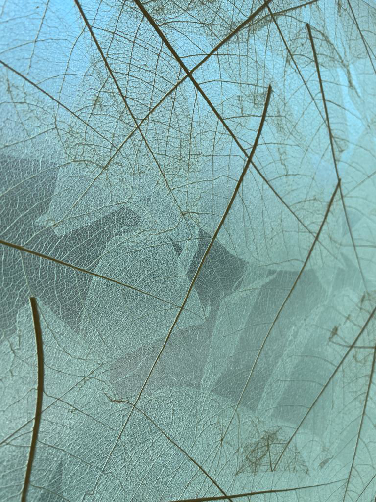Material Solutions. Skellett Leaves Organoid Wallpaper | Avery Dennison®